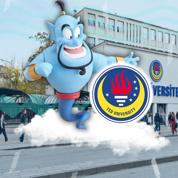 TED University Tuition Fees - Ranking & Programs